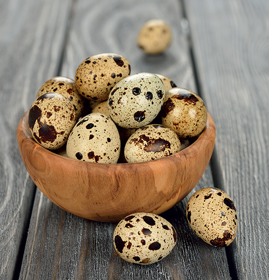 eggs-caille - Bio Infos Santé