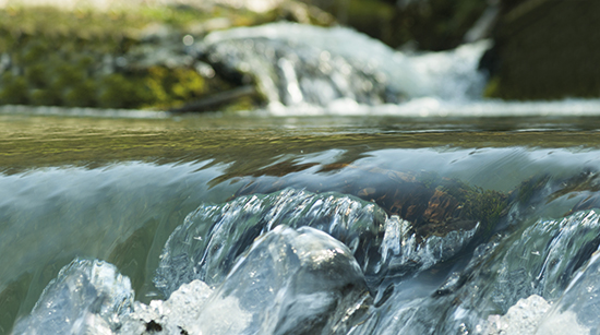 fleuve - Bio Infos Santé