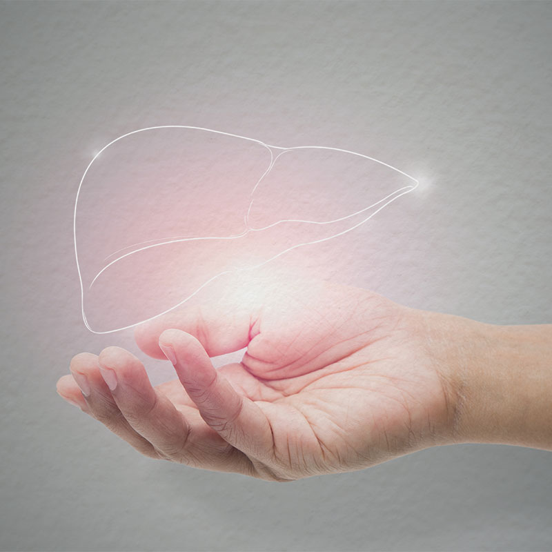 Un article de Christian Brun - Bio Infos Santé